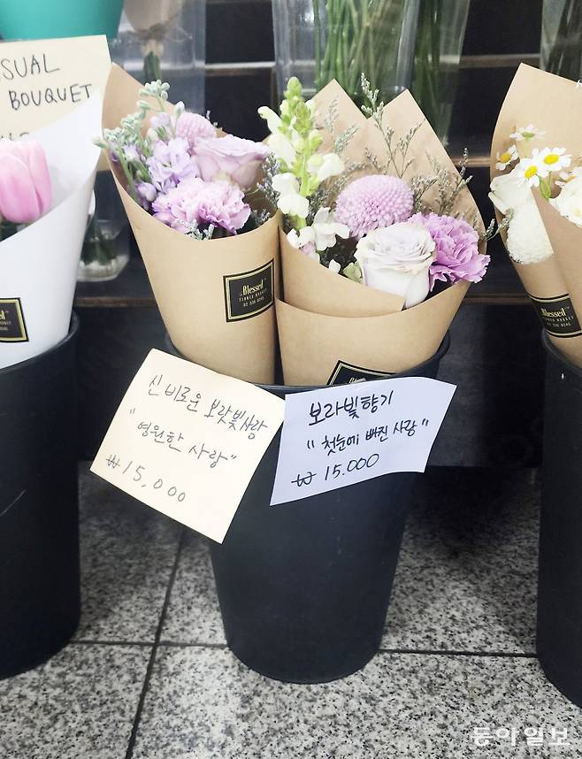 고양이 눈 어떤 사랑의 꽃을