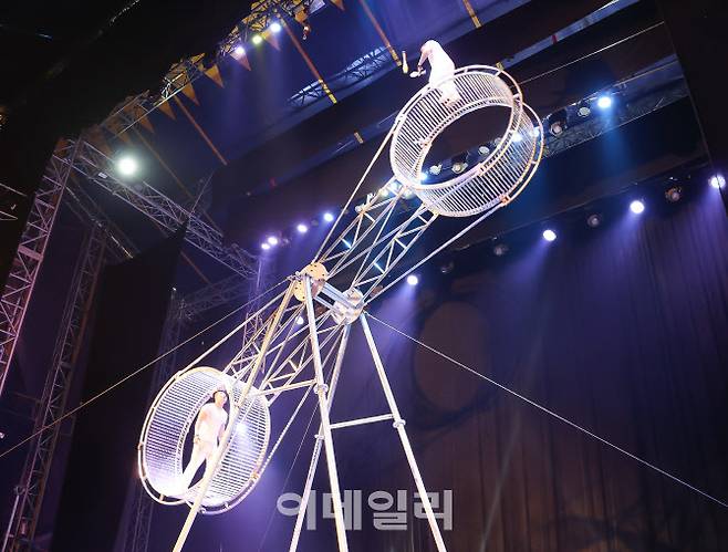 동춘서커스 99년 역사대부도에서 빛나다 여행
