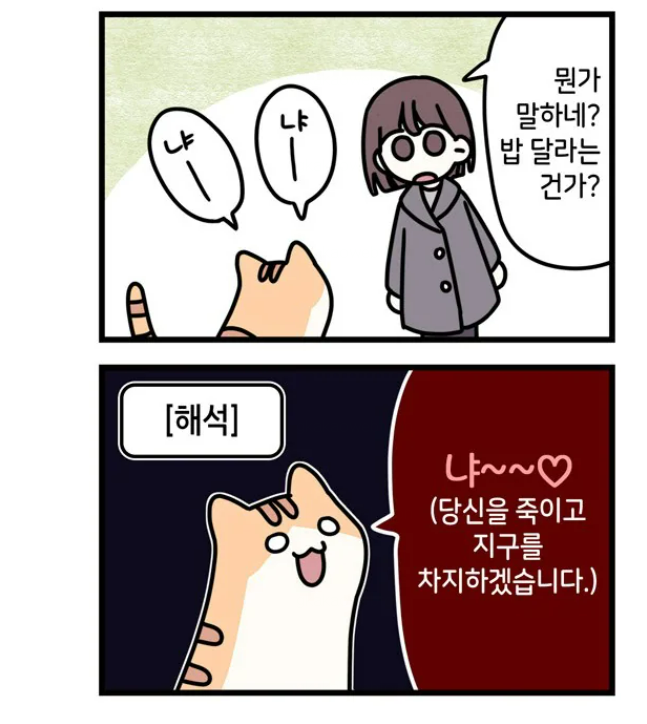 ‘인간 몰살이 꿈인 고양이···근데 너무 귀엽잖아 오늘도 툰툰한 하루