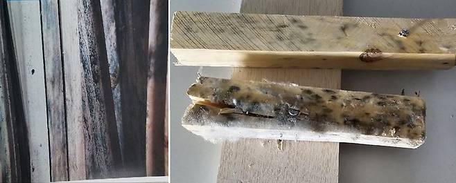 유명브랜드 건설사 곰팡이 자재 사용하다 공사 중지 명령
