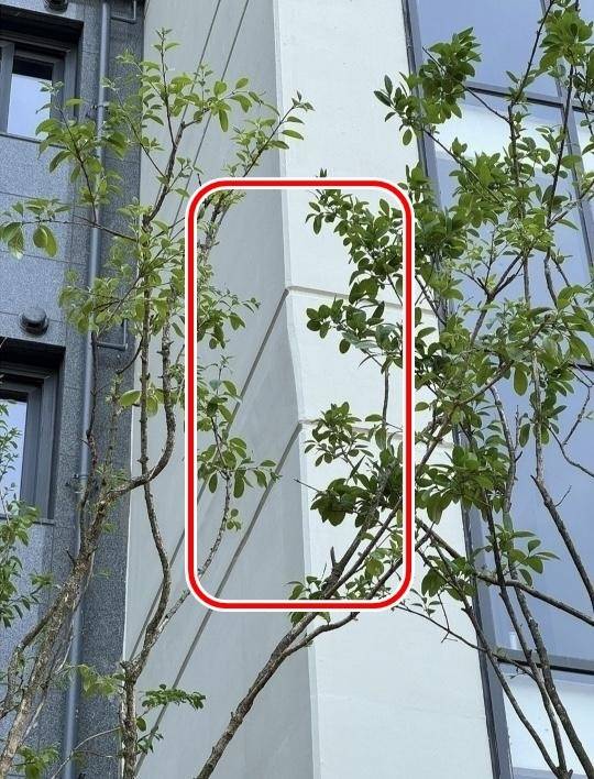 외벽 휘고 벽면 뒤틀린 신축아파트 지진 나면 어쩌나”