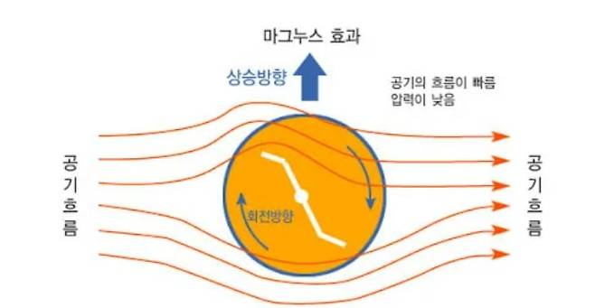 언론사뷰
