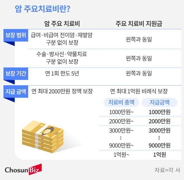 5000만원 중입자치료도 보장” 암보험 필수템 된 ‘암주요치료비