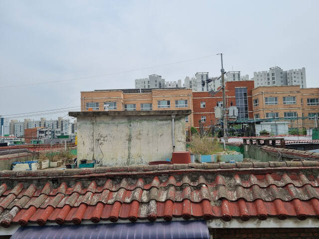 빌라 옥상 ‘불법 텃밭 점령 이웃 악취·벌레 못살겠다” 현장 그곳and