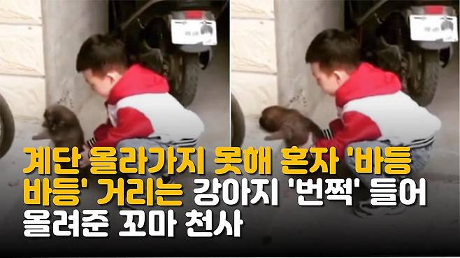 집사 다리에 누워서 사람이라도 되는 것 마냥 다리 꼬고 자는 고양이의 이해불가 자세 애니멀 플래닛