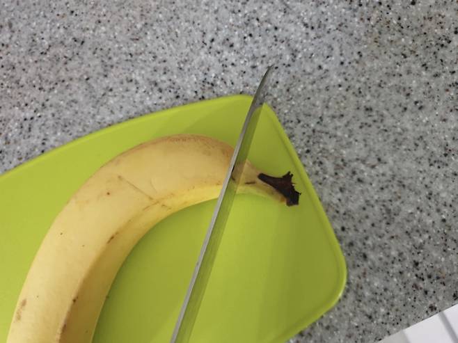 바나나에 생기는 초파리 원인은 바로 여기 오늘살림루틴