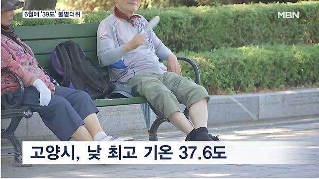 강세현의 재난백서 괴물로 변해서 찾아온 여름