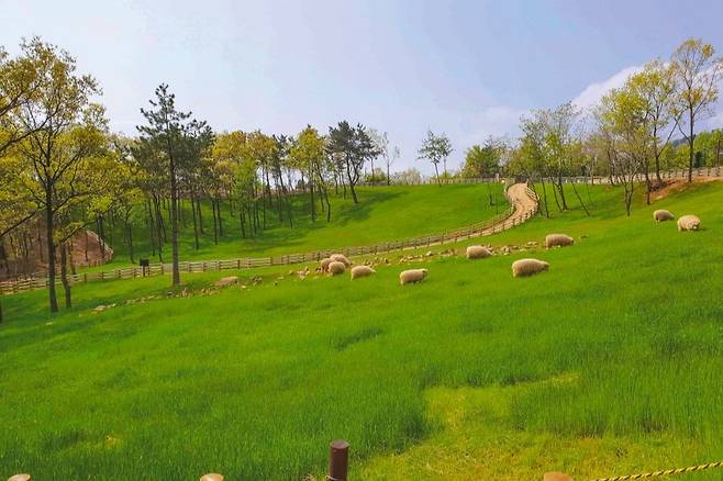 ‘유럽 휴양지 저리가라 여름에 즐기는 경남 거제도 가볼만한 곳 Best4 인포매틱스뷰 세상모든여행정보