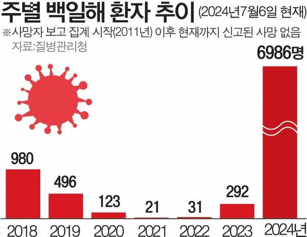 백일해 전 세계적 확산올해 국내환자 7000명 육박