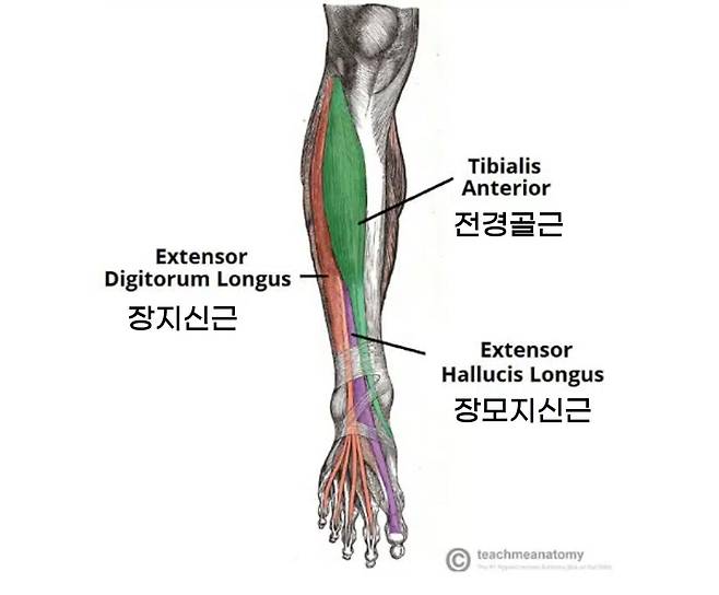 깜짝이야 운전 중 ‘이 곳에 쥐가 났다종아리도 아닌데 왜