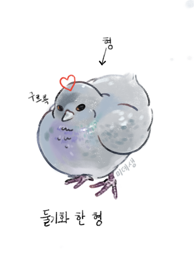 양궁 과녁 실제 거리 체감 웃긴대학