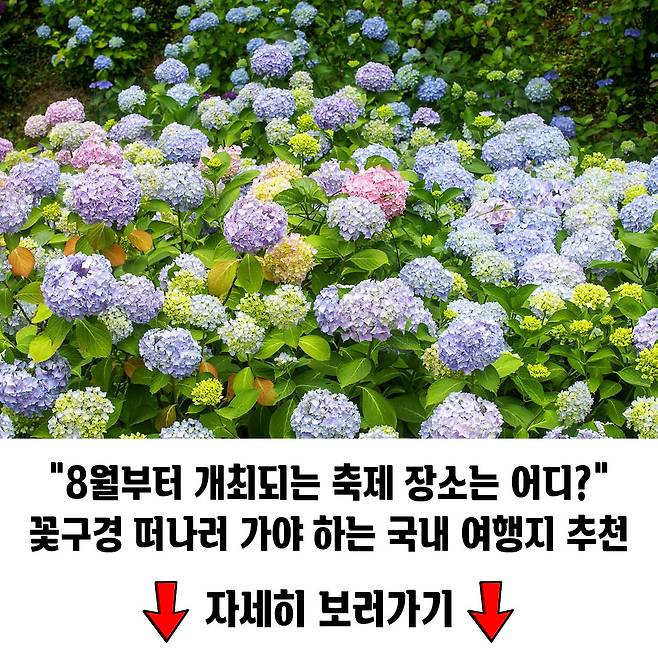 여름에 방문하면 더욱 매력적이다 자연과 역사가 조화로운 서울 근교 힐링 여행지 여행을말하다