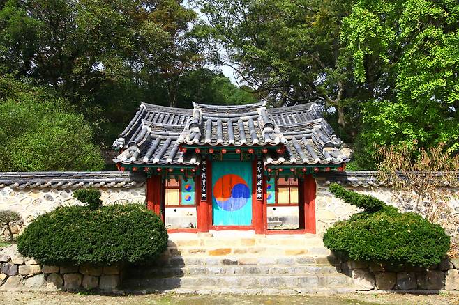 우리나라 최대 규모를 자랑하는 보라빛 물결 라벤더 꽃구경 다녀오기 좋은 여행지 여행을말하다