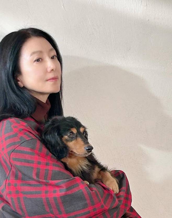 김희애 우아하고 고급스러운 중단발 세련된 50대 헤어스타일 완성 뷰티는 내운명