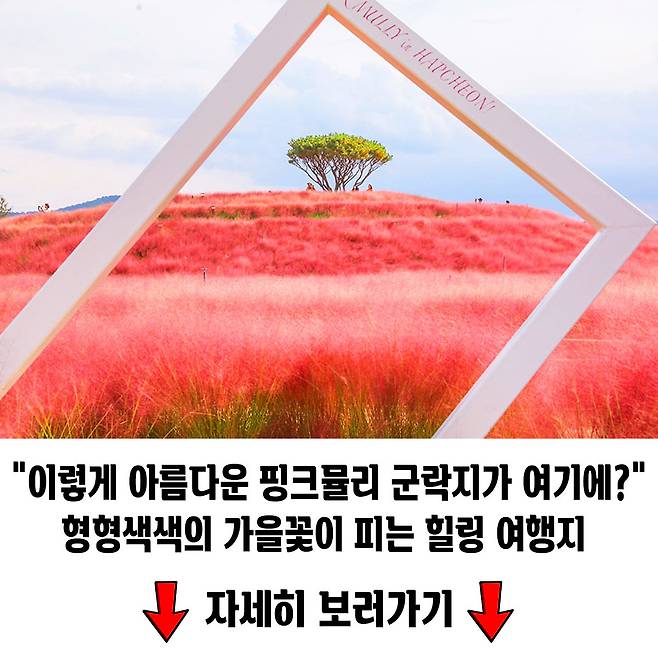 가을이면 하루 10000명 이상 찾는다는 이곳 단풍 명소 1위로 자리 잡은 여행지 여행을말하다