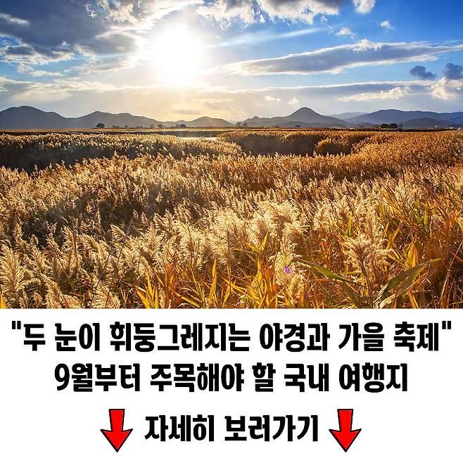 매년 가을 사진작가들이 찾는 이곳 가을의 진귀한 풍경을 담을 수 있는 여행지 여행을말하다