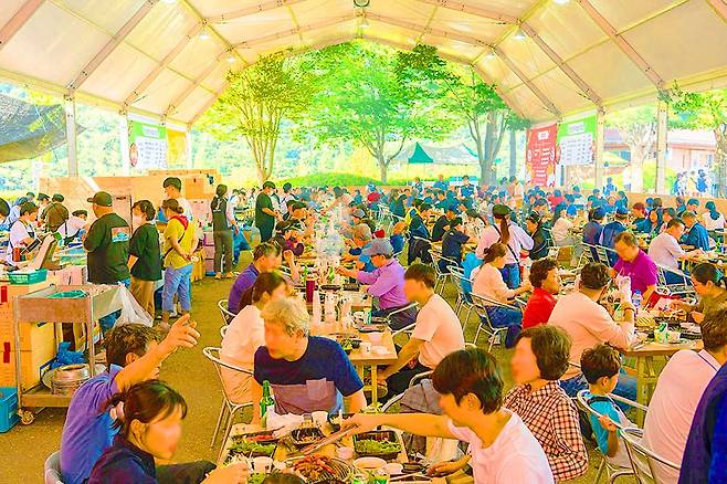이렇게 예쁜 줄 알았으면 진작에 가볼걸 한우로만 유명한 줄 알았던 가을 여행지 여행을말하다