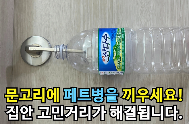 두부는 이제 전자레인지에 돌리세요 가족 모두 결과에 감동 텐바디