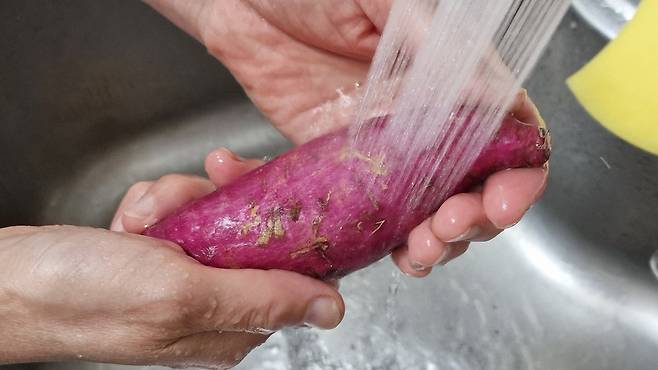 고구마 그냥 찌지 마세요 젓가락을 꽂으면 놀라운 변화가 시작됩니다 최주부