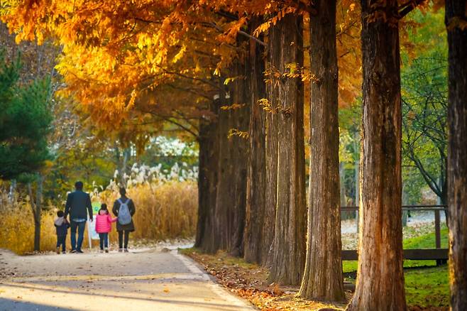 ‘한국 관광공사 선정 가을 여행지 추천 가을 가볼만한 곳으로 딱인 경기도 여행 인포매틱스뷰 세상모든여행정보