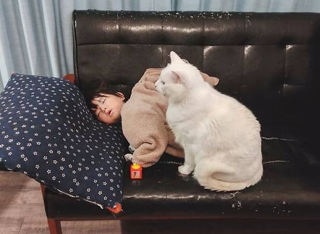 소파에서 잠든 아이가 바닥 떨어지지 않도록 옆에서 자리 지키는 고양이 애니멀 플래닛