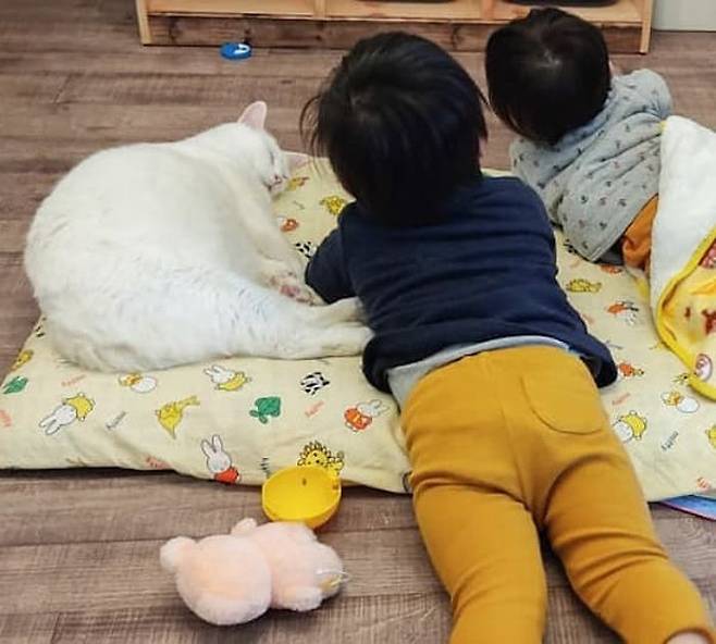 소파에서 잠든 아이가 바닥 떨어지지 않도록 옆에서 자리 지키는 고양이 애니멀 플래닛