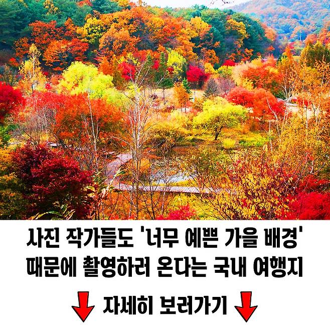 여행 유튜버가 뽑은 국내 여행지 1위 인생에서 한 번쯤 꼭 가봐야 할 신비의 섬 여행을말하다