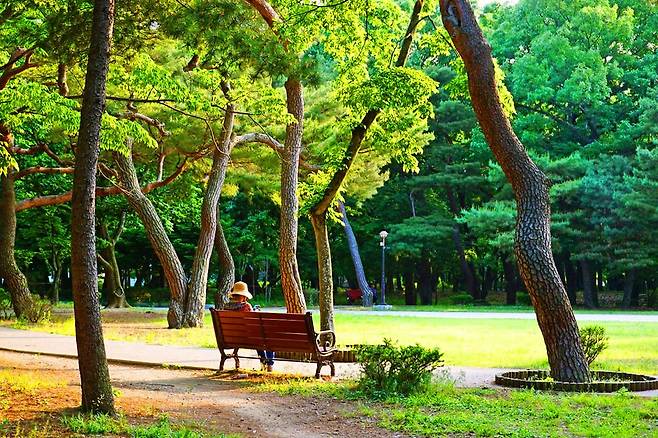 이번주부터 붉게 물든다 단풍의 절정이 눈앞에 펼쳐지는 가을 여행지 여행을말하다