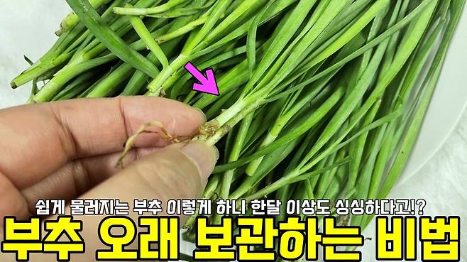 고추 그냥 냉장고에 보관하지 마세요 냉동 없이도 싱싱함이 오래가는 고추 보관법 쏙쏙팁
