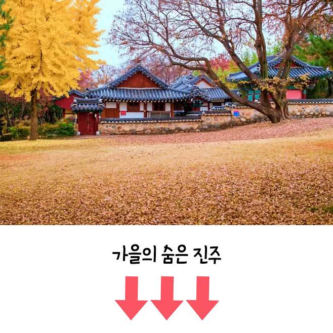산림청이 인증하고 국민이 뽑았다 꼭 가봐야 할 ‘민간정원 30곳 여행탐구