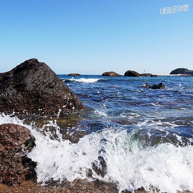 인생샷은 여기서 📸 포항의 핫플 내일로여행