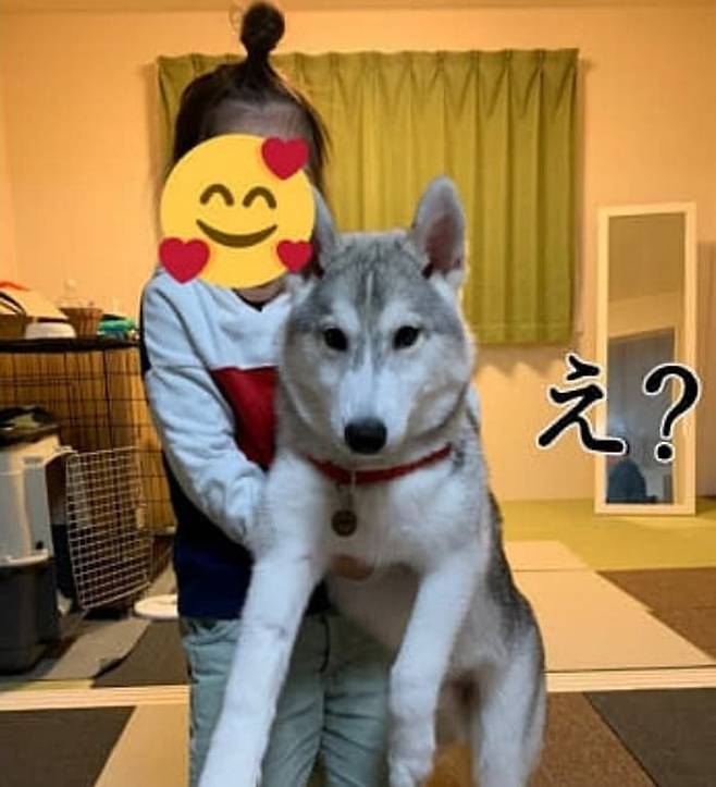 어깨동무하며 창가 앞에 서서 바깥 풍경 쳐다보는 중인 아이와 강아지 애니멀 플래닛