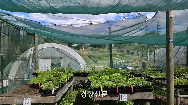 못난이라도 어때”···친환경 농부는 ‘신뢰를 먹고 자란다 오세아니아서 만난 지속 가능한 농업