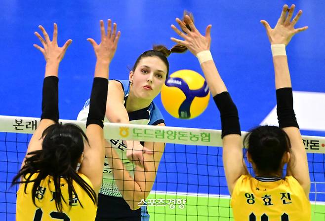 ‘빅토리아＞모마 기업은행 현대건설 8연승 막았다···대한항공은 가볍게 한전 꺾고 3연승