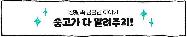 우리 집 첫인상 이것이 집안 분위기를 좌우한다 숨고