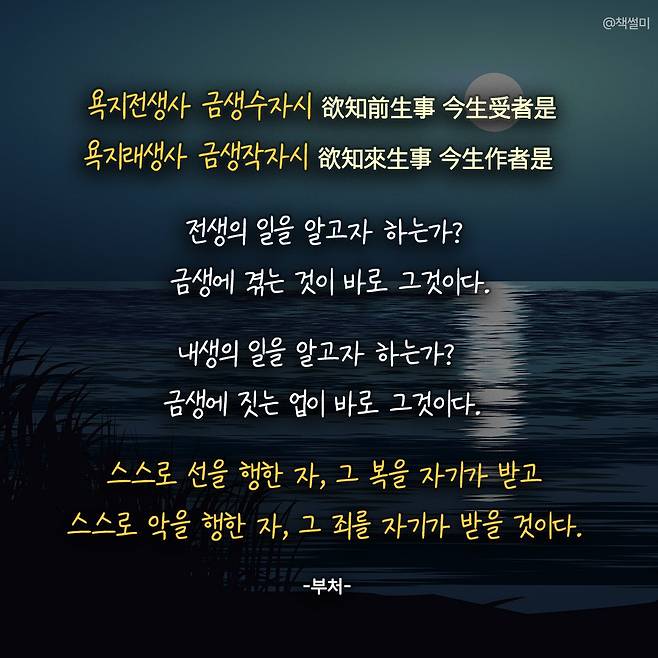 신동엽이 30년 넘게 방송하면서 깨달은 진리 쓰레기들은 언젠가 꿀벌책방