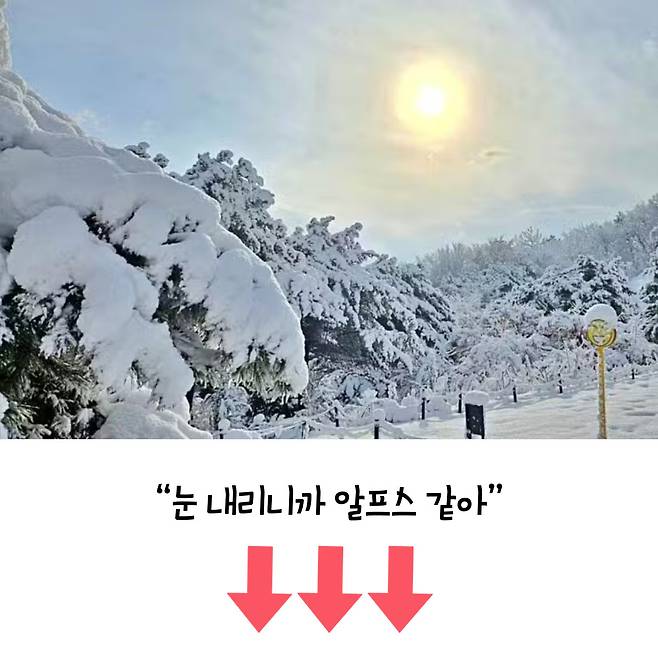 출렁다리도 드라이브도 끝내준다 눈 올 때 꼭 가야 할 겨울 명소 2곳 여행탐구