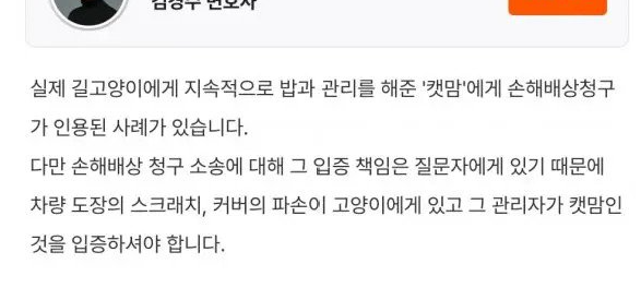 고양이가 차에서 떨어져서 학대로 신고한다는 사람 밈하우스