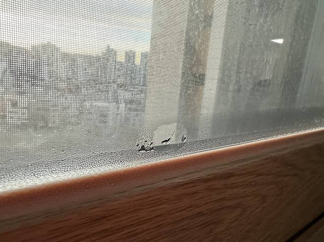 겨울철 불청객 창문 결로현상 해결 방법은 오늘살림루틴