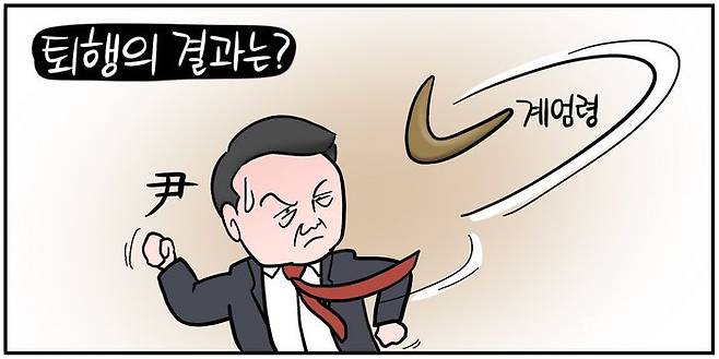 데일리안 시사만평 尹 한밤의 비상계엄령 선포정치 생명 단축 부메랑 되나