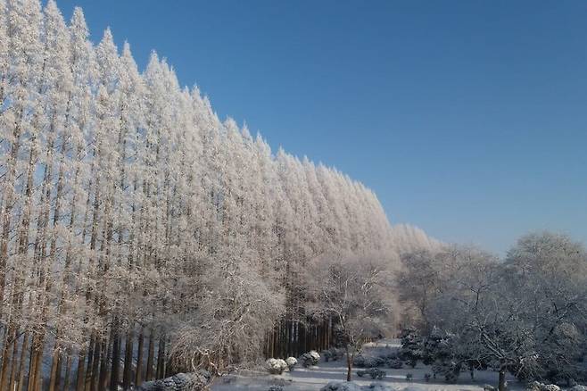 겨울 감성 제대로네 눈 덮일 때까지 기다려야 할 이색 여행지 2곳 여행탐구