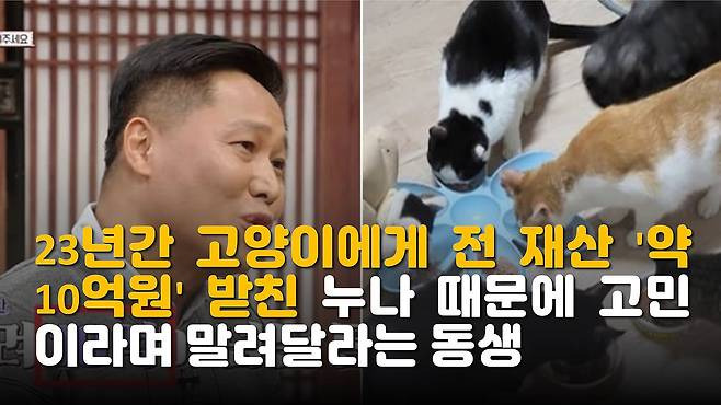 팀장이 꼰대인지 아닌지 헷갈린다는 직원 심리테스트 해볼래