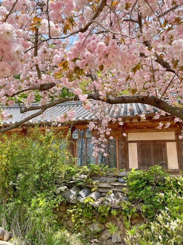 서산의 숨겨진 매력을 찾아서 충남 서산 여행 필수 코스 5곳 소개 이앤투어픽