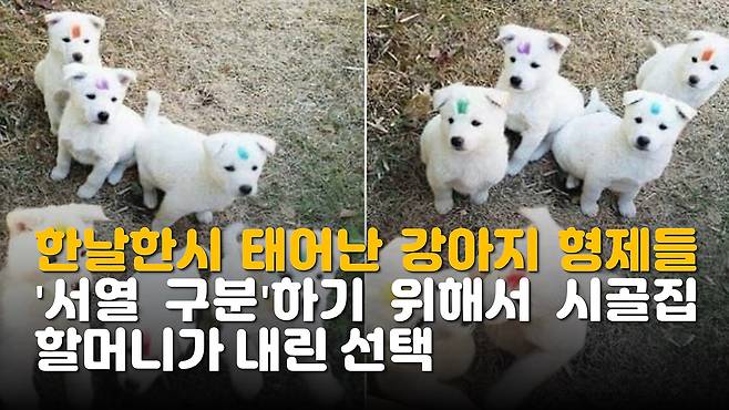 나이 어린 회사 선임의 반말 논란 심리테스트 해볼래