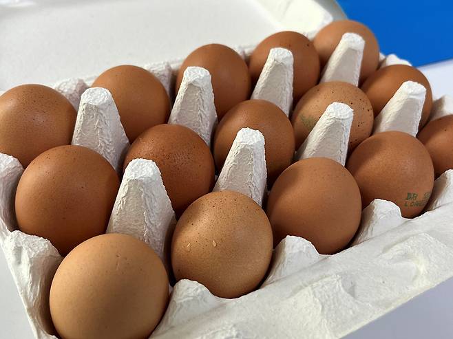 1등급 계란이라고 무조건 사지 마세요 모르면 당하는 계란 구매법 꿀하우스