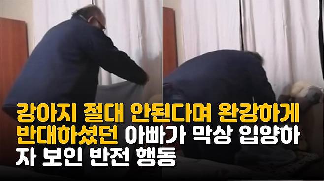 죽을 뻔한 자기 목숨 살려준 은인이 너무 고마웠던 아기 고양이가 한 행동 애니멀 플래닛