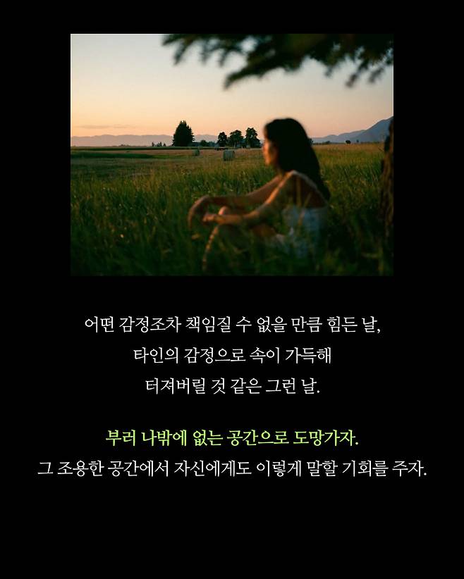다정한 사람일수록 번아웃이 쉽게 오는 슬픈 이유 꿀벌책방