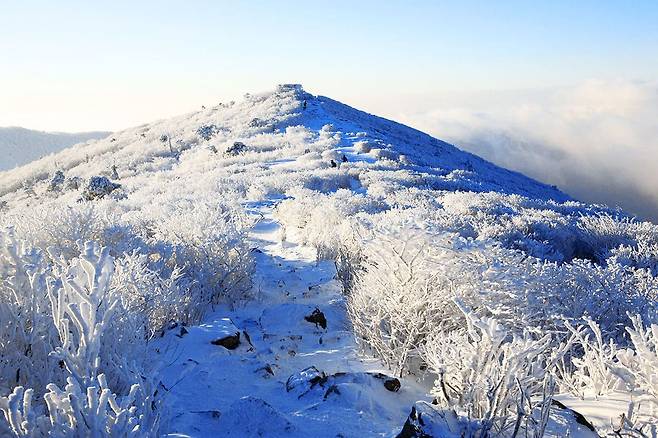 겨울 설경의 절정 아직도 몰랐다면 꼭 가야 할 비밀 명산 여행을말하다