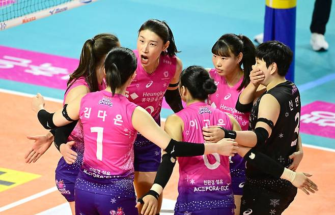 흥국생명 Gs 14연패 몰고 전반기 1위현대캐피탈 9연승 질주종합