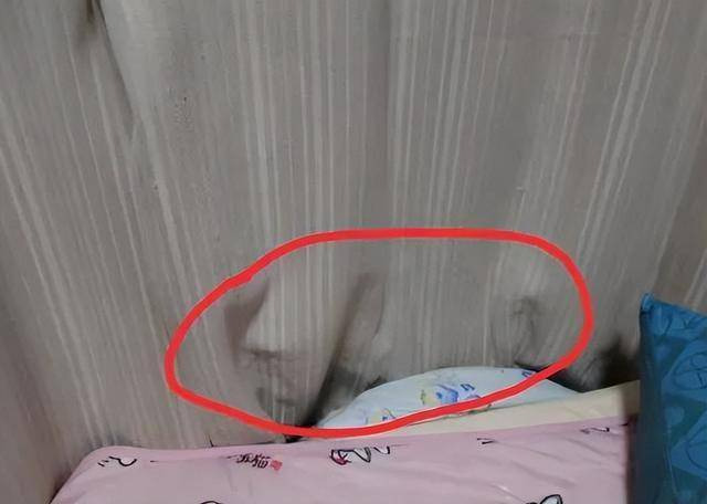 이게 가능해 창문에 붙어 자는 고양이 재미진